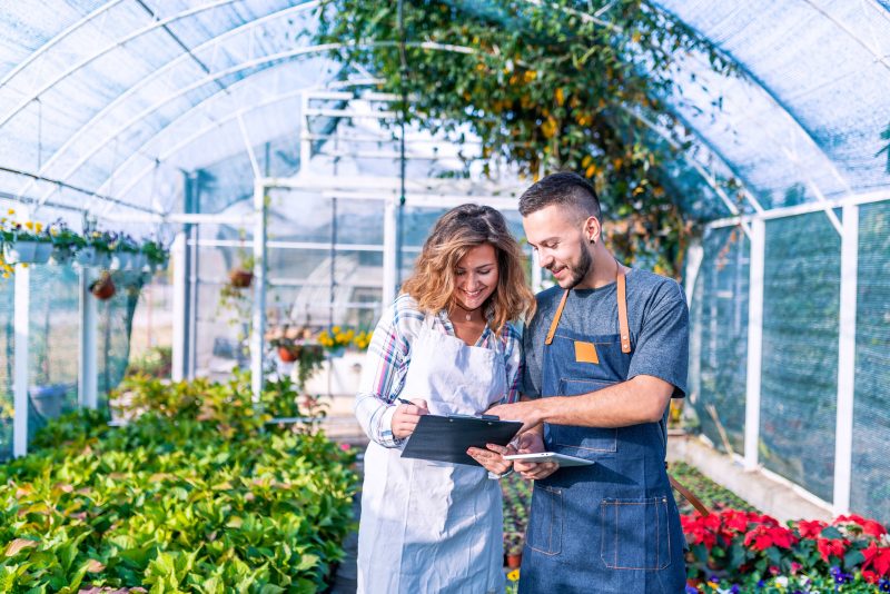 Small Business Digital Solutions | Blayzer Digital